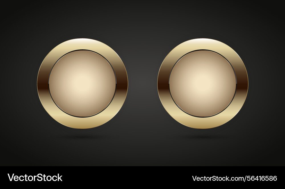 Two luxury gold premium quality badge buttons Vector Image