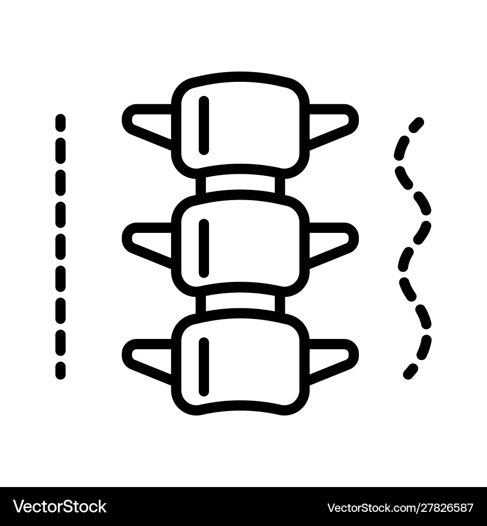 Anatomical structure spine or backbone isolated Vector Image