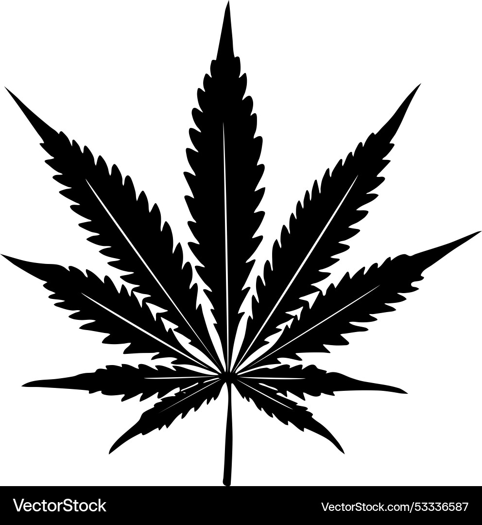 Marijuana or cannabis leaf Royalty Free Vector Image