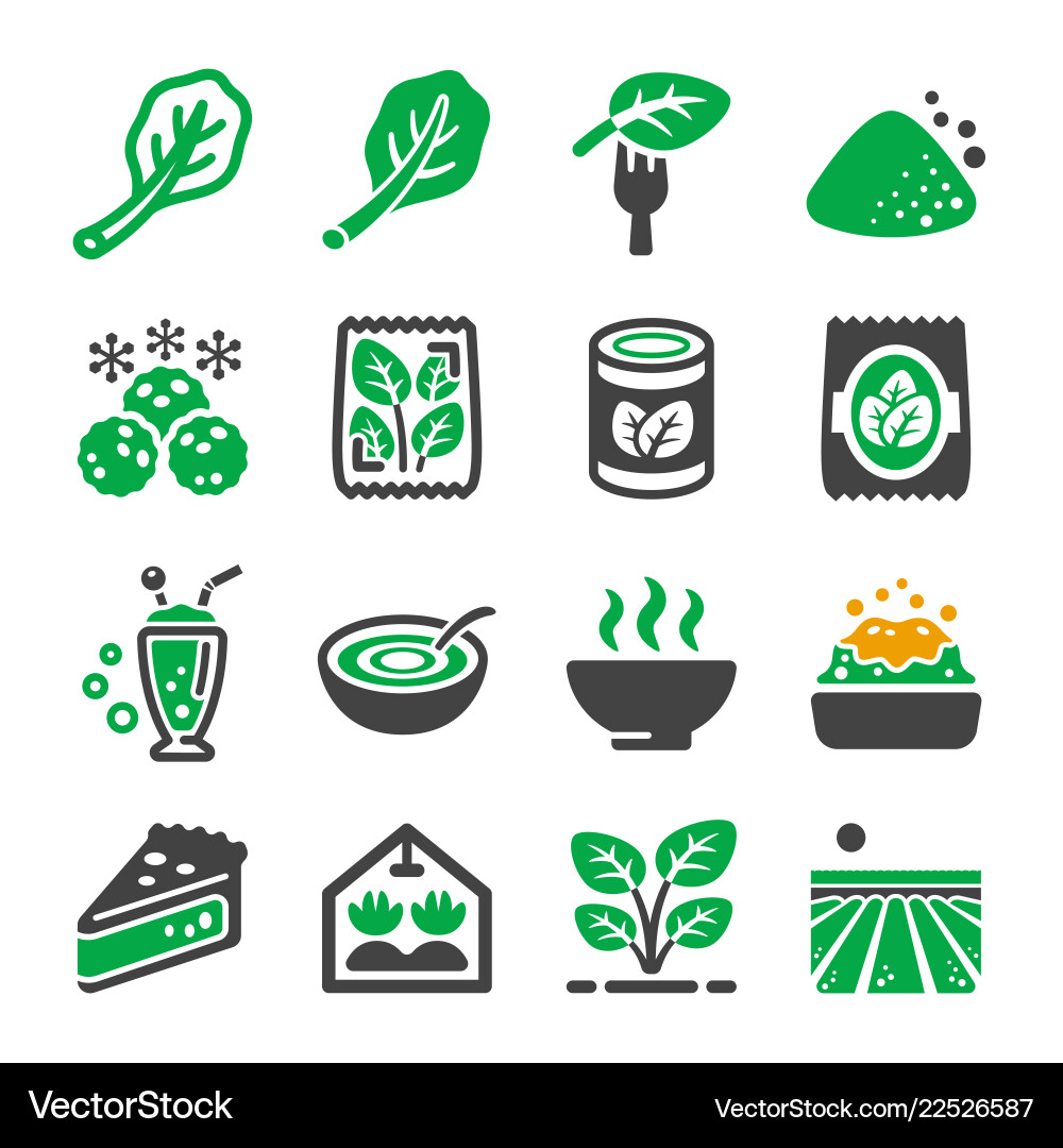 Spinach Can Vector Images (over 350)