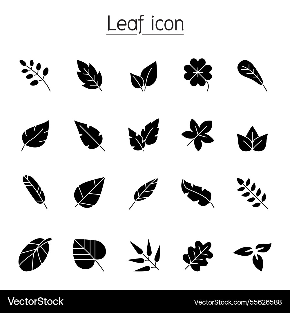 Leaf icon set in glyph style Royalty Free Vector Image