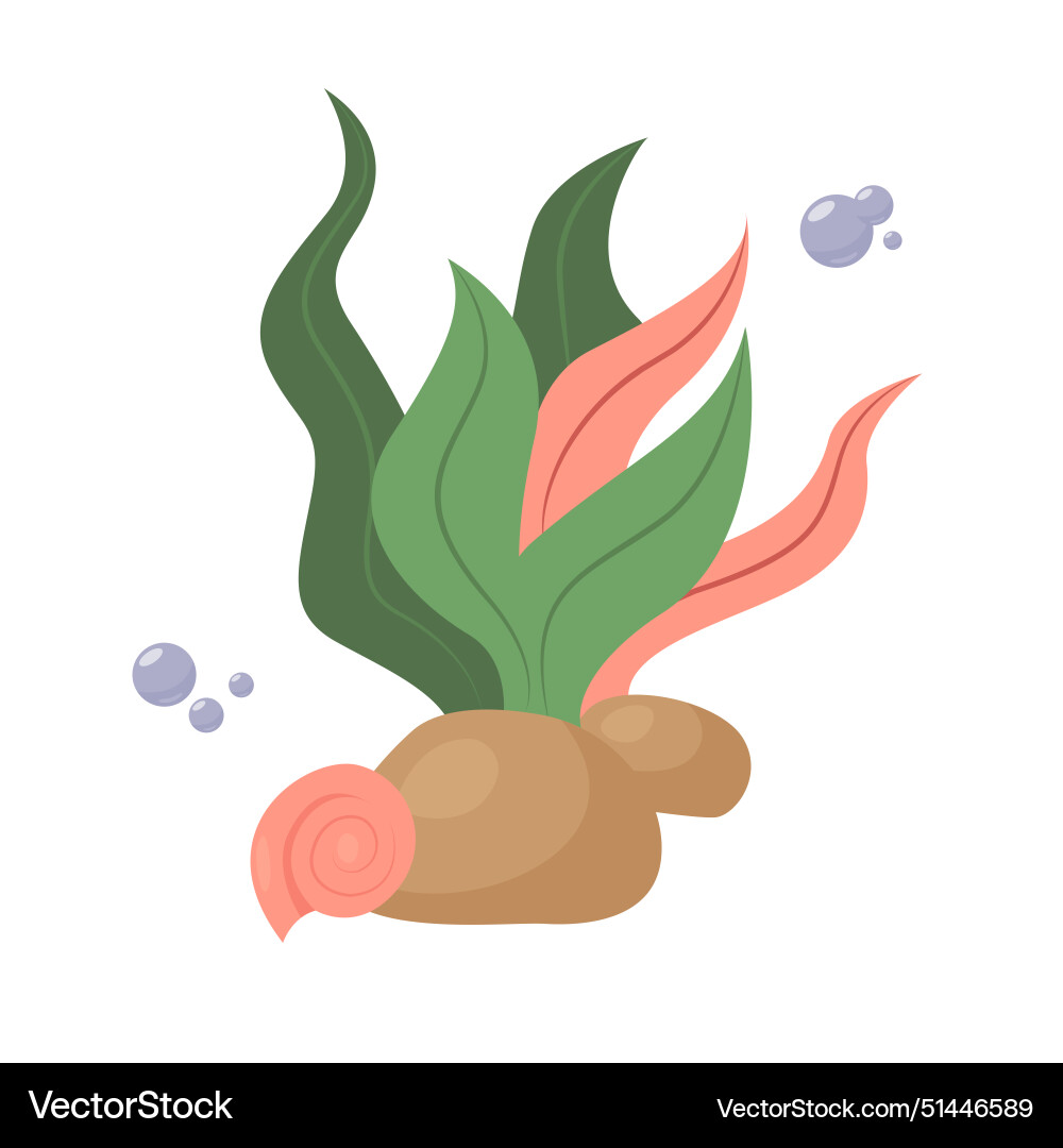Algae growing on astone on sea or ocean floor air Vector Image
