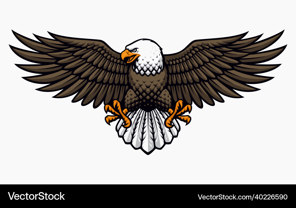 American eagle Royalty Free Vector Image - VectorStock