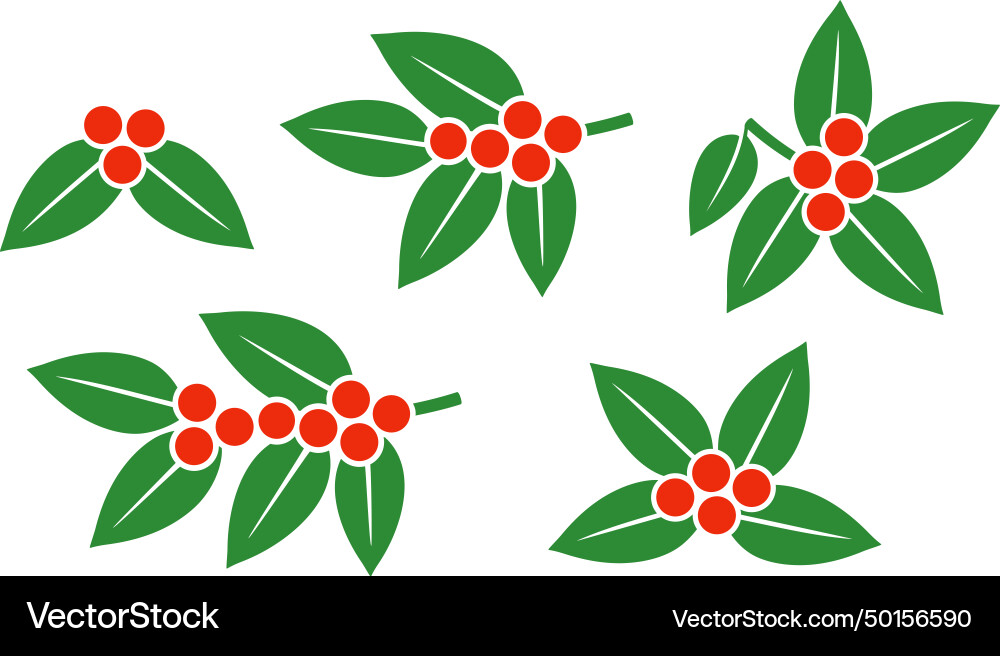 Coffee plant Royalty Free Vector Image - VectorStock