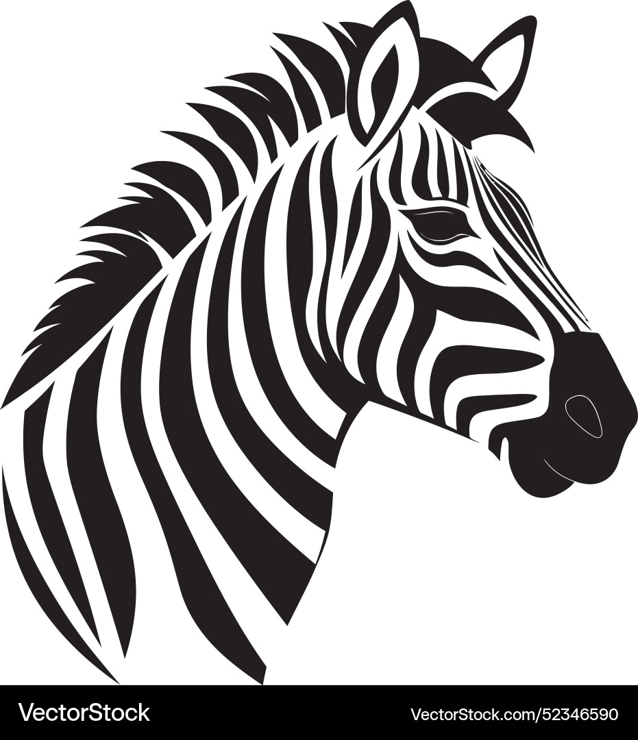 Monochrome mastery zebra showcasedigital Vector Image