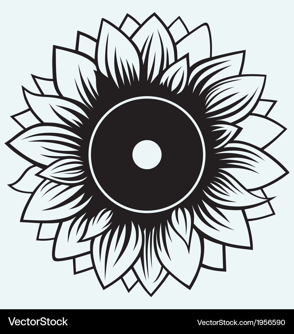 Sunflower Royalty Free Vector Image - VectorStock