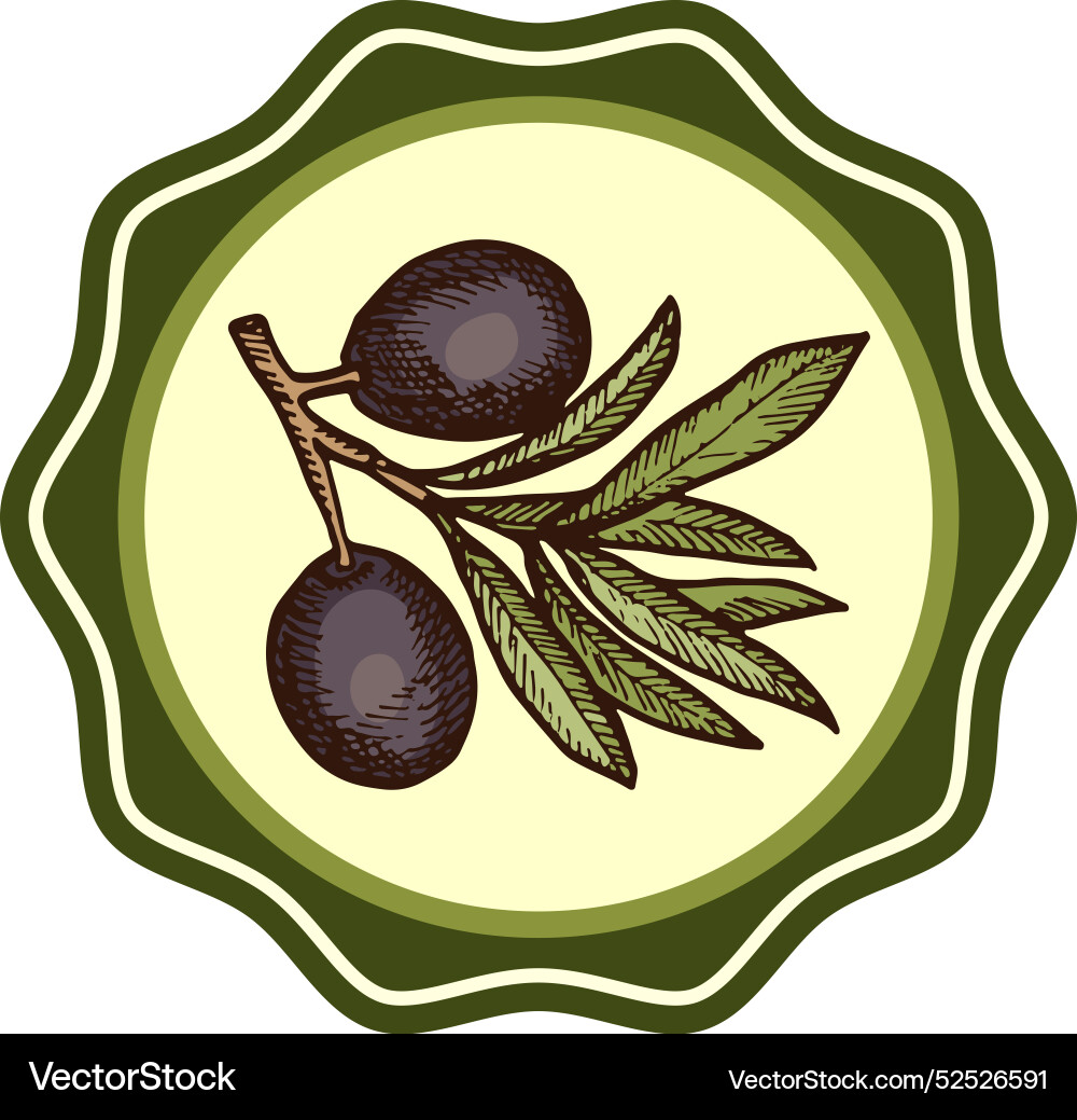 Round olive label virgin oil tag template Vector Image