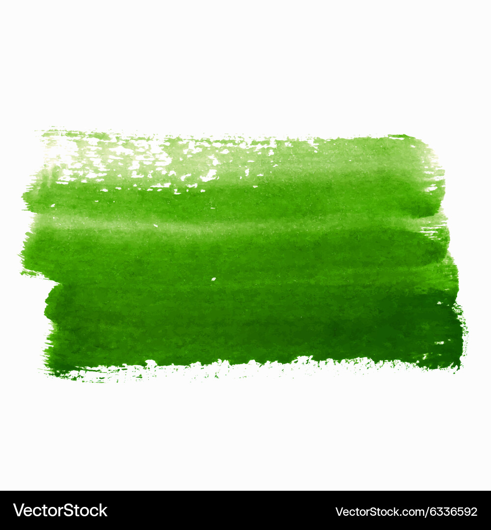 Green paint abstract background Royalty Free Vector Image