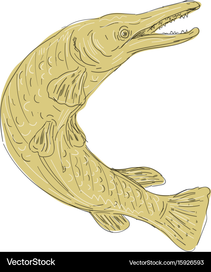 Alligator Gar Coloring Page