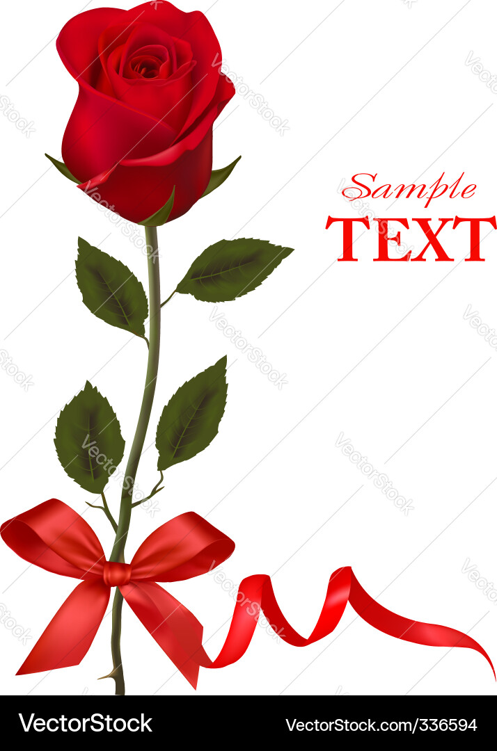Beauty red rose with ribbons Royalty Free Vector Image