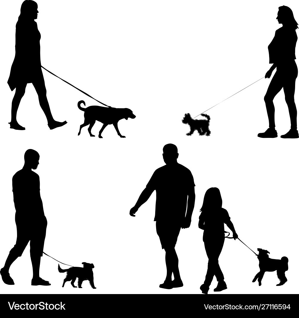 Person Walking Dog Profile Vector Images (over 100)