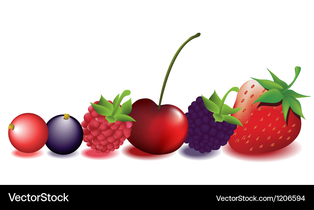 Fruits Royalty Free Vector Image - VectorStock