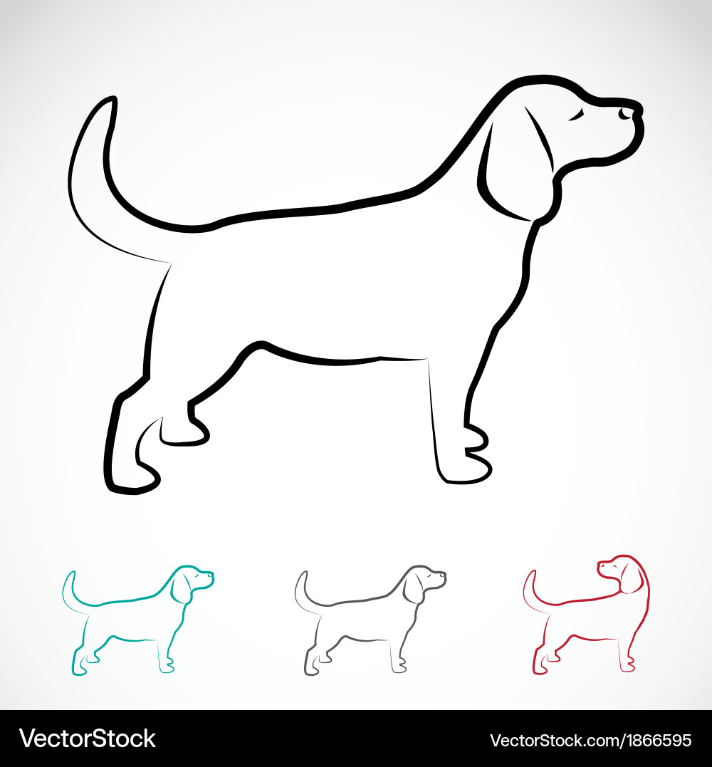 Labrador Retriever Portrait Royalty Free Vector Image