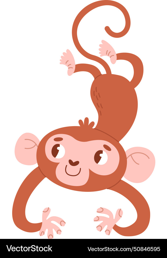 Monkey animal in funny pose Royalty Free Vector Image