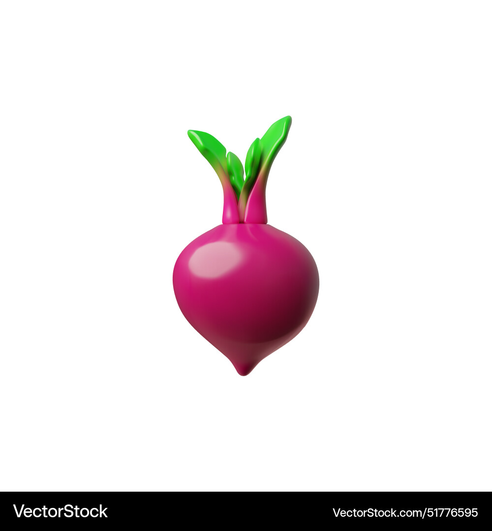 Realistic 3d of beetroot Royalty Free Vector Image