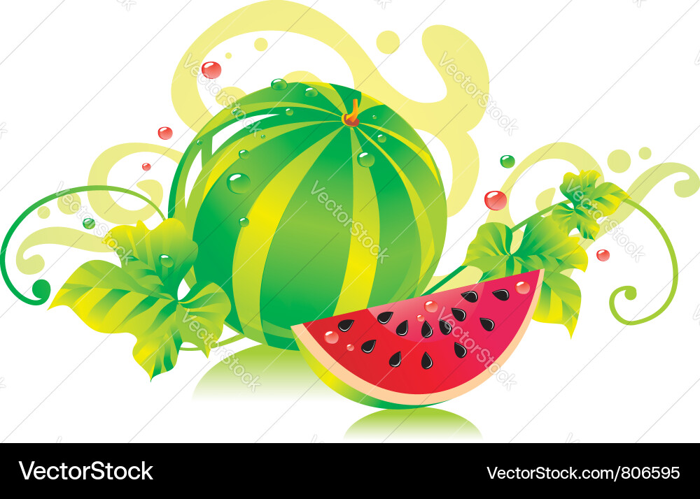 Watermelon Royalty Free Vector Image - VectorStock