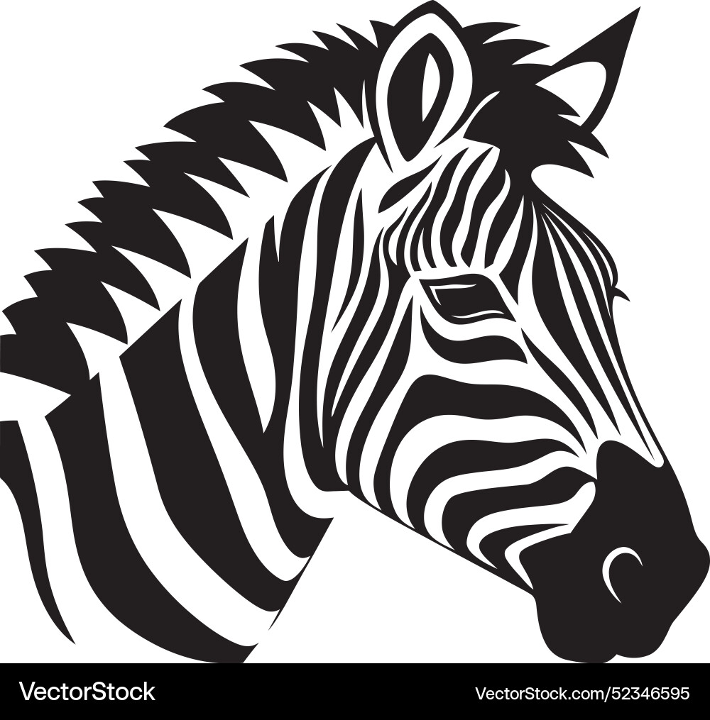 Wildlife zebra sketchingcontemporary z Royalty Free Vector