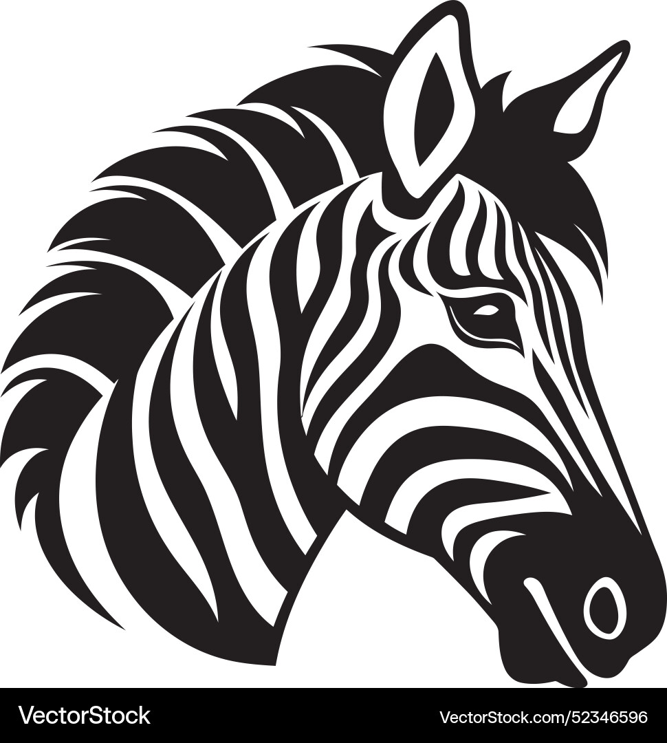 Contemporary zebra compositionelegant patterns ze Vector Image