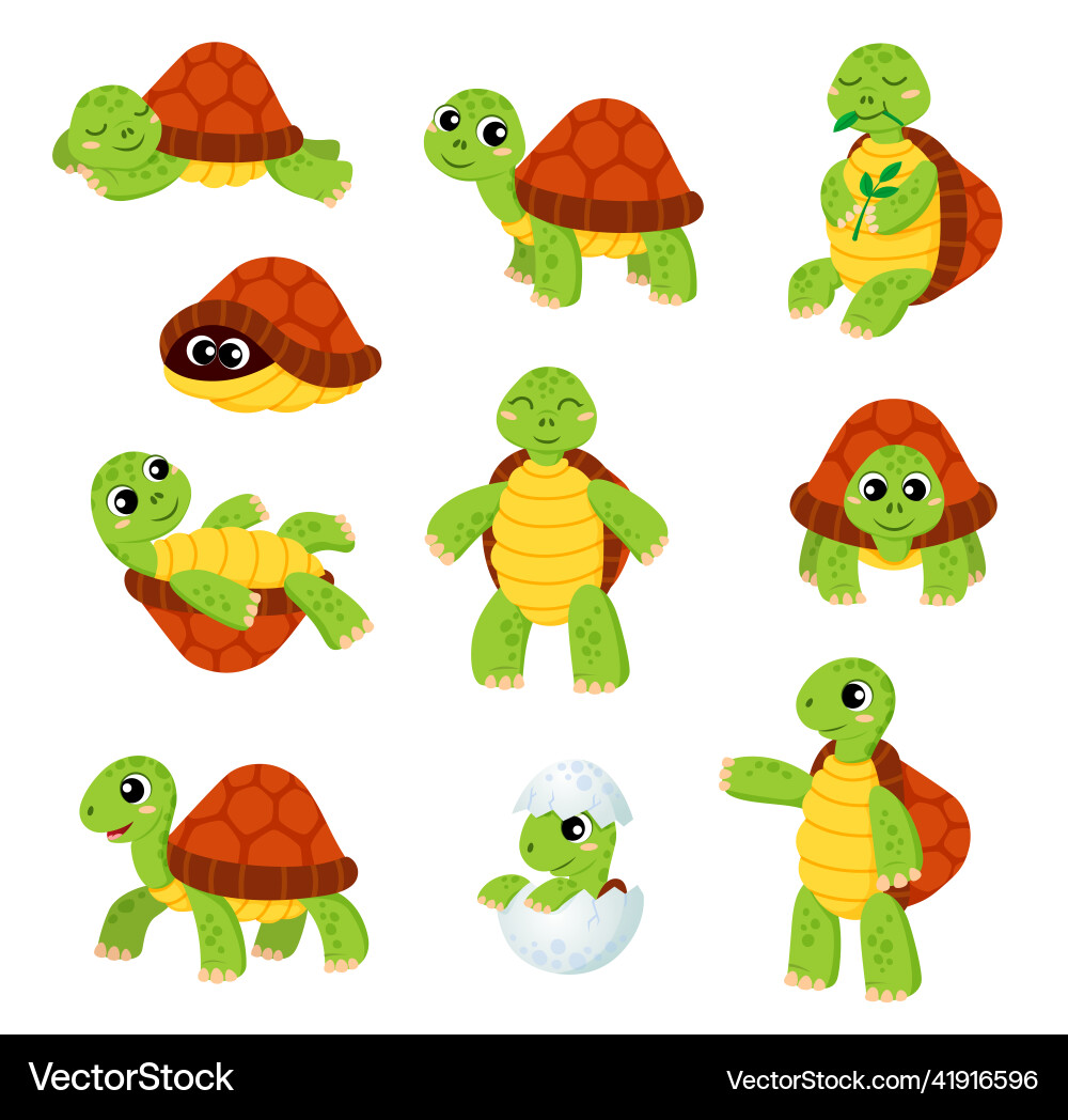 Cute Cartoon Turtle Characters Royalty Free Vector Image