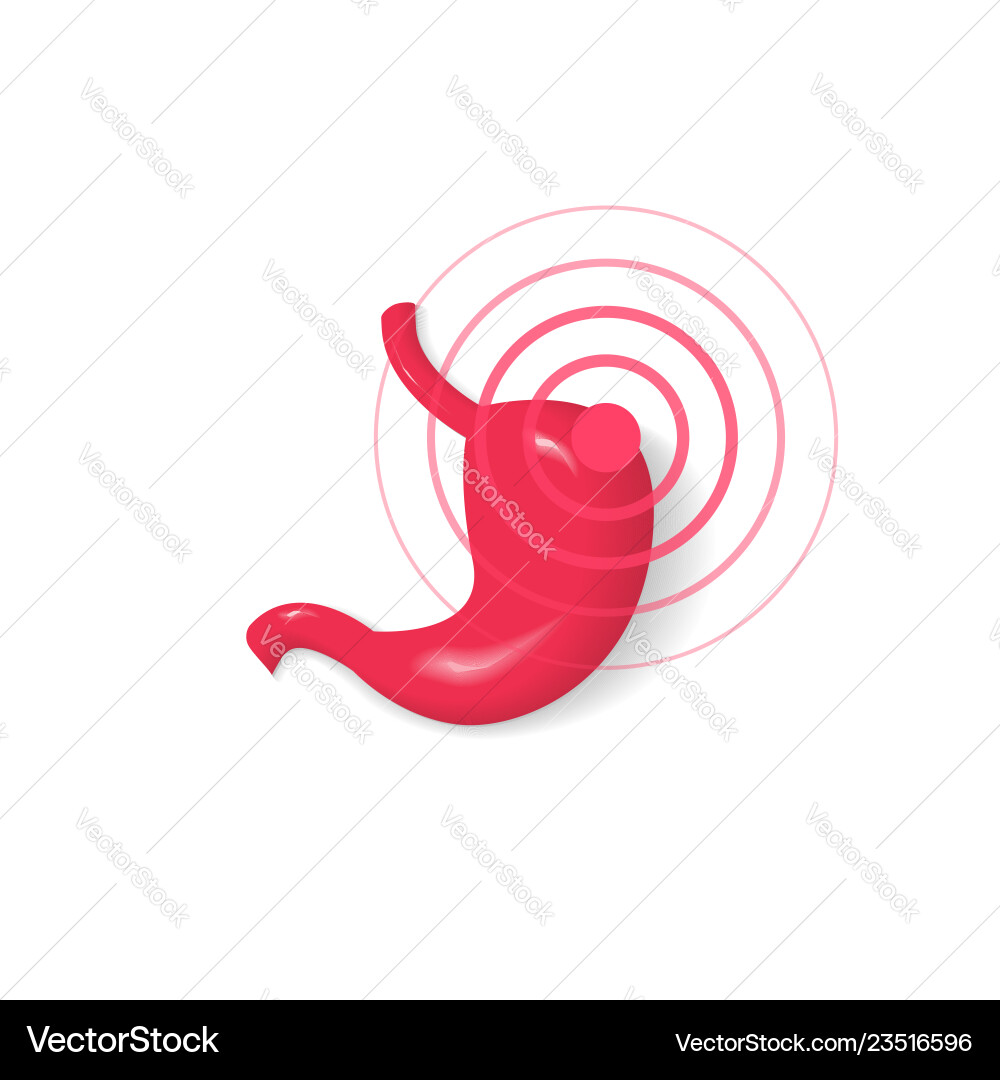 Stomach pain icon ache symbol Royalty Free Vector Image