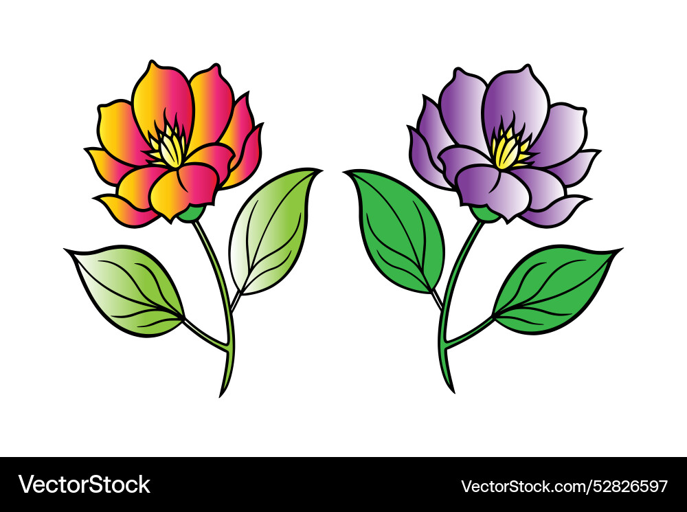 Collection of floral and botanical elements Vector Image