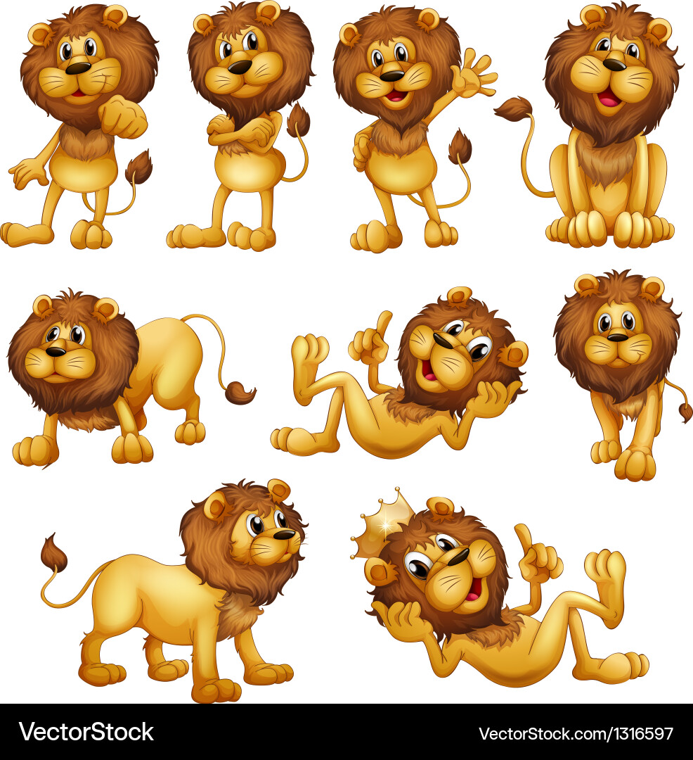 Lions in different positions Royalty Free Vector Image