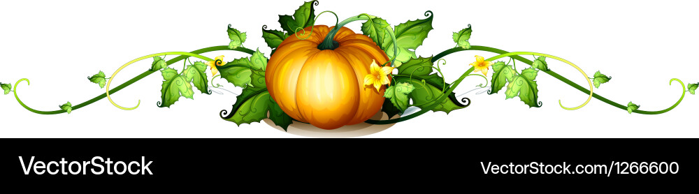 Autumn Vine Border with Squash Royalty Free Vector Image