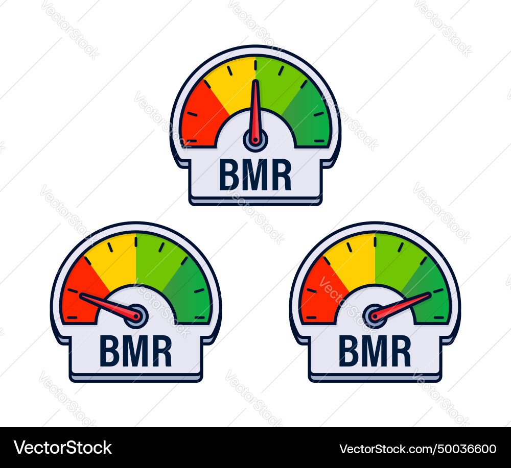 Basal metabolic rate bmr assessment gauges Vector Image
