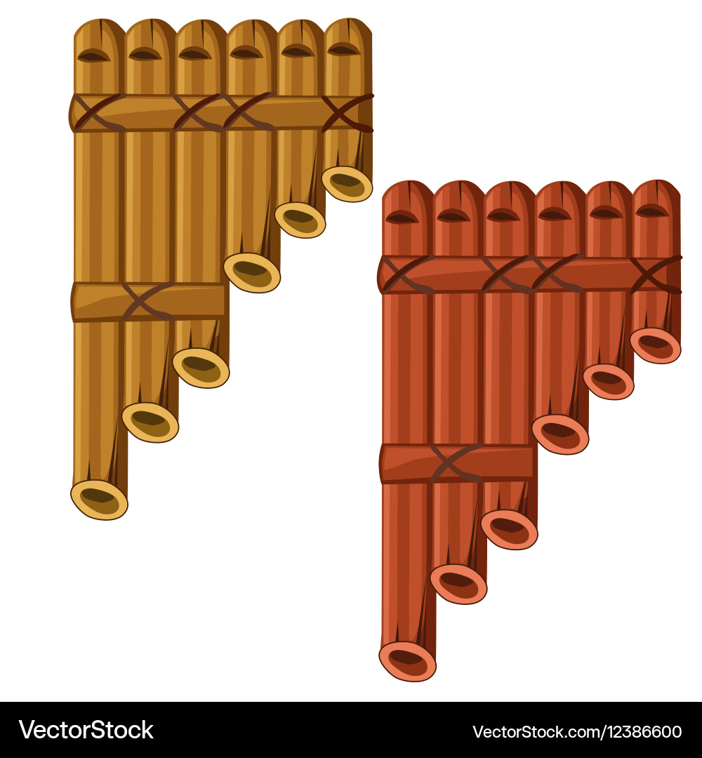 Pan flute made of bamboo Royalty Free Vector Image