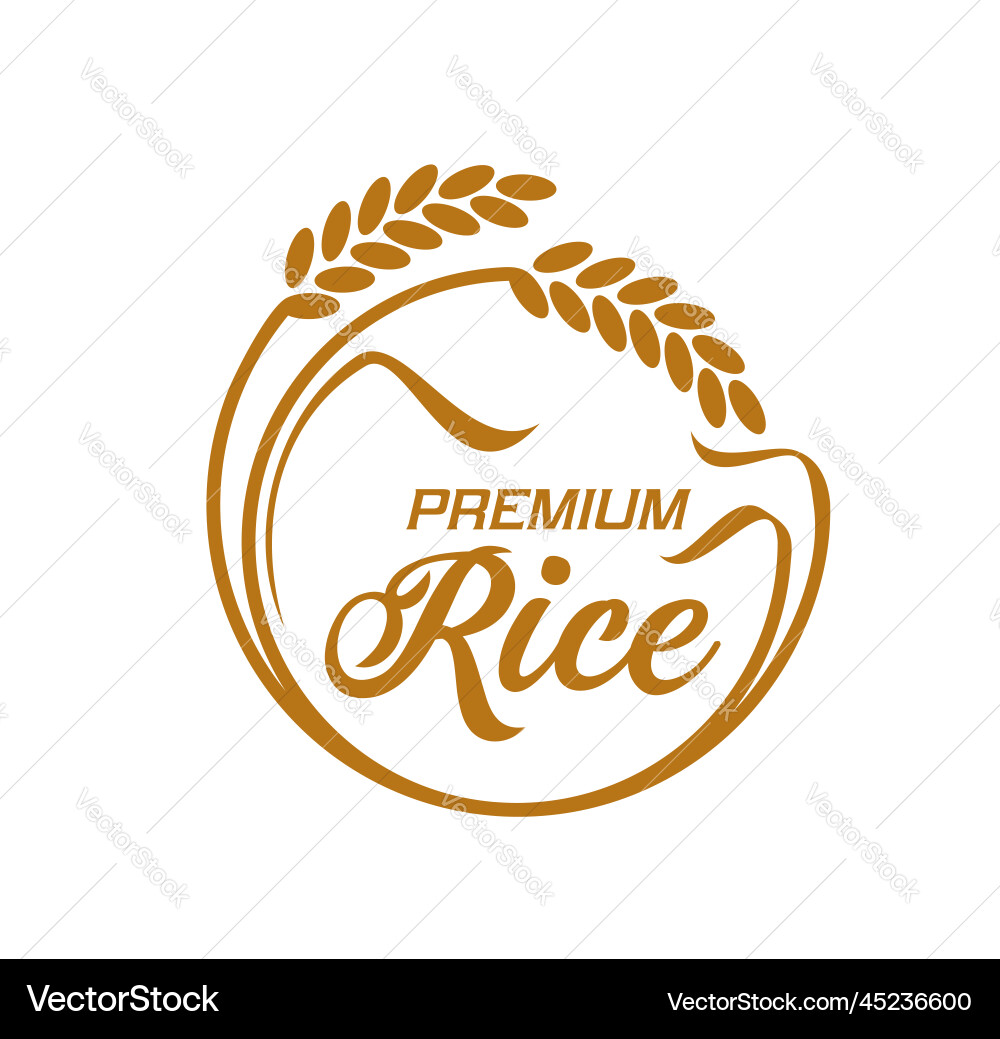 Paddy Vector Logo 4+ Thousand Rice Paddy Logo Royalty Free Images,