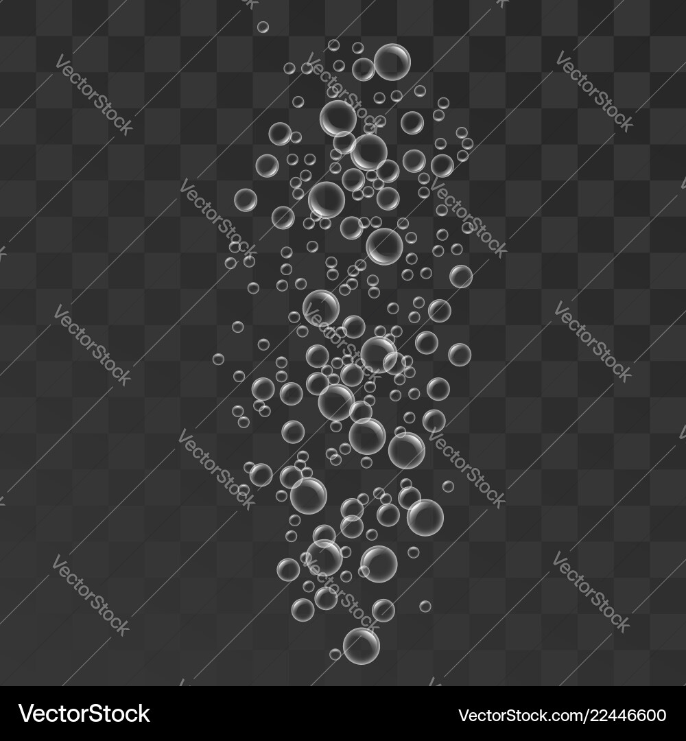 Soda bubbles icon realistic style Royalty Free Vector Image