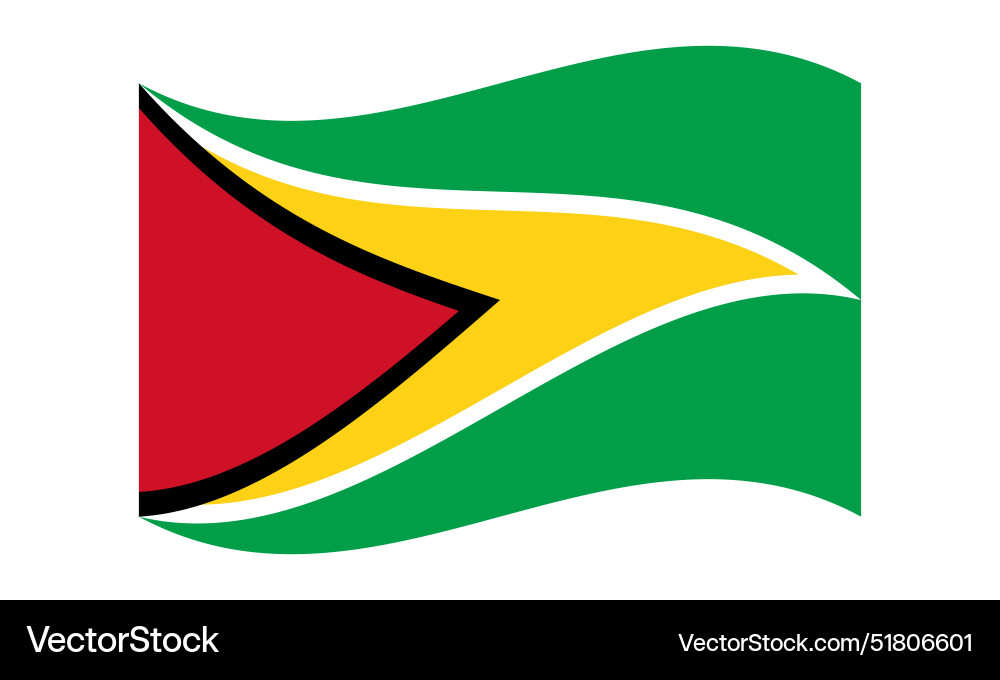 Flag of guyana national symbol in official colors Vector Image