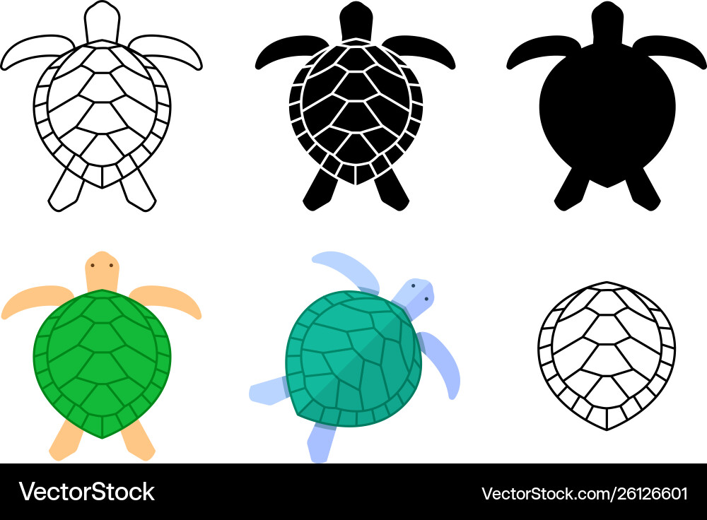 Set turtle icons and sign in art Royalty Free Vector Image