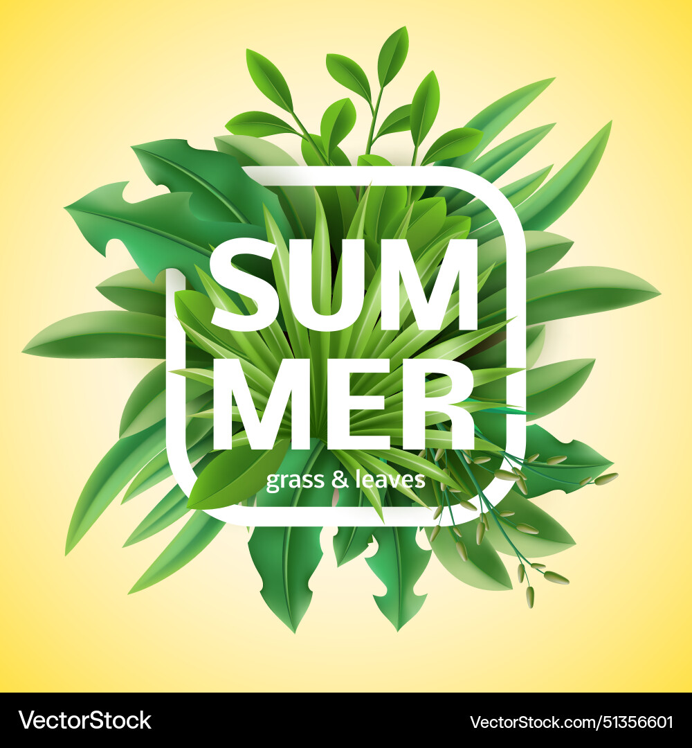 Summer time frame realistic spring green grass Vector Image