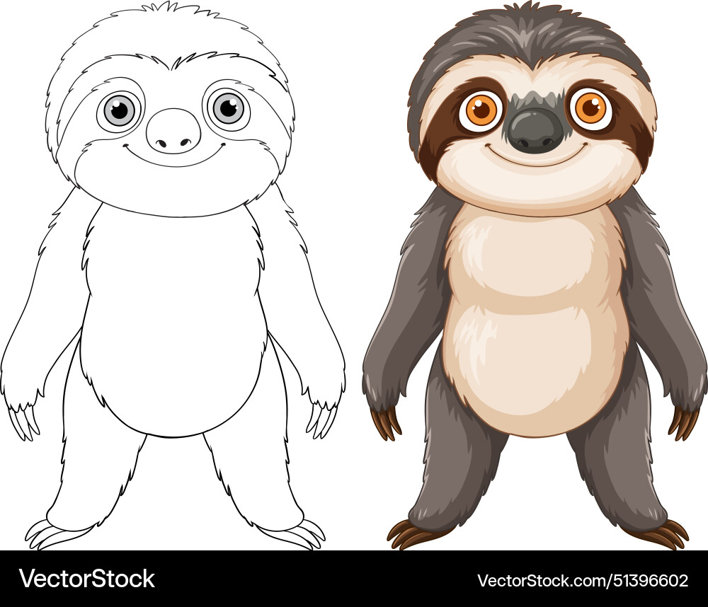 Adorable sloth in color and outline Royalty Free Vector