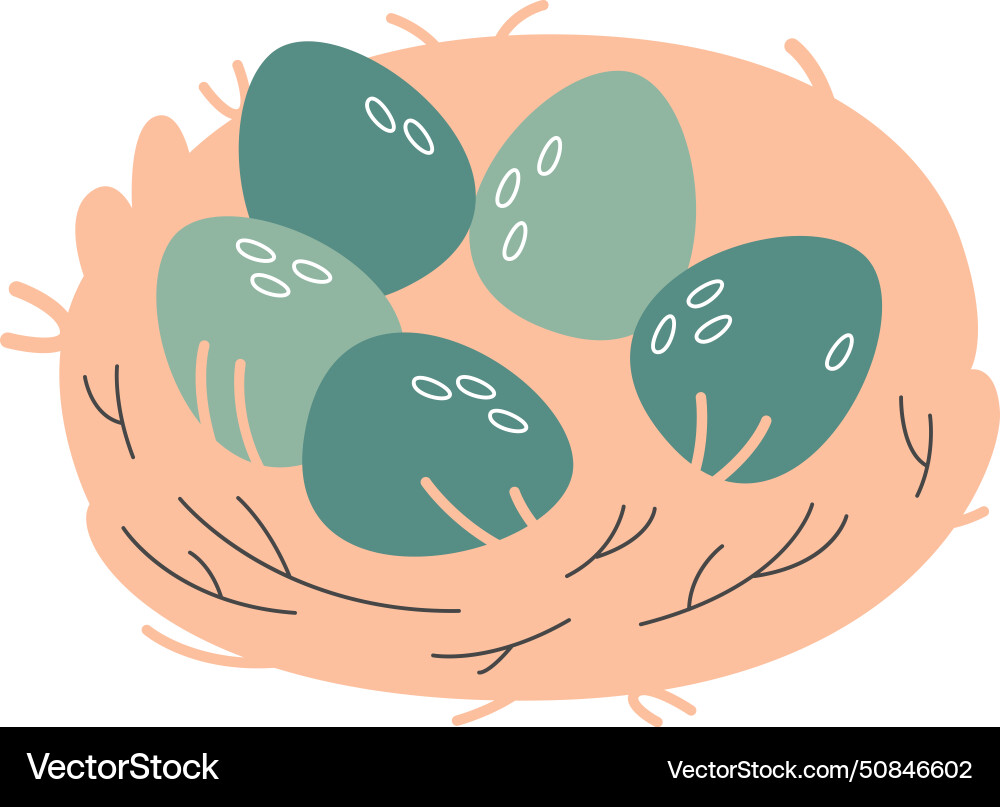 Bird nest with eggs Royalty Free Vector Image - VectorStock