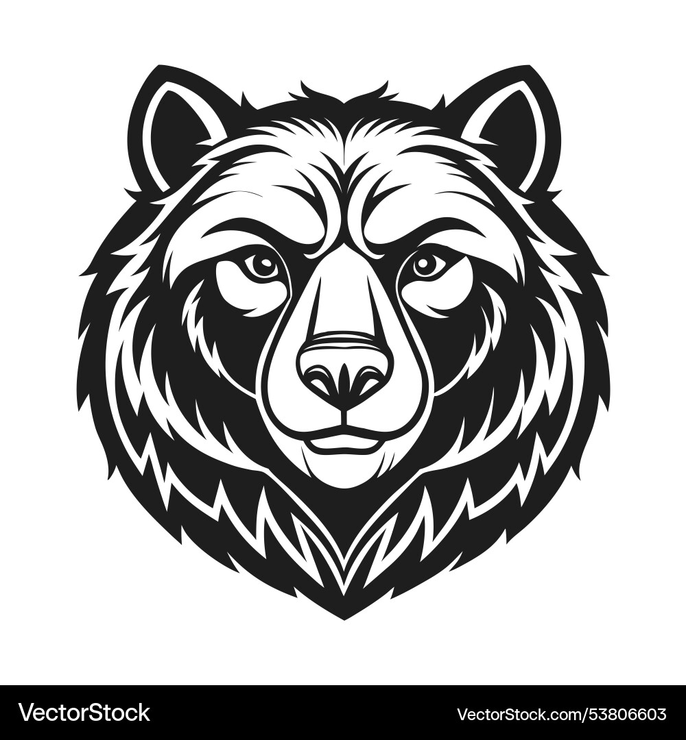 Bear face Royalty Free Vector Image - VectorStock