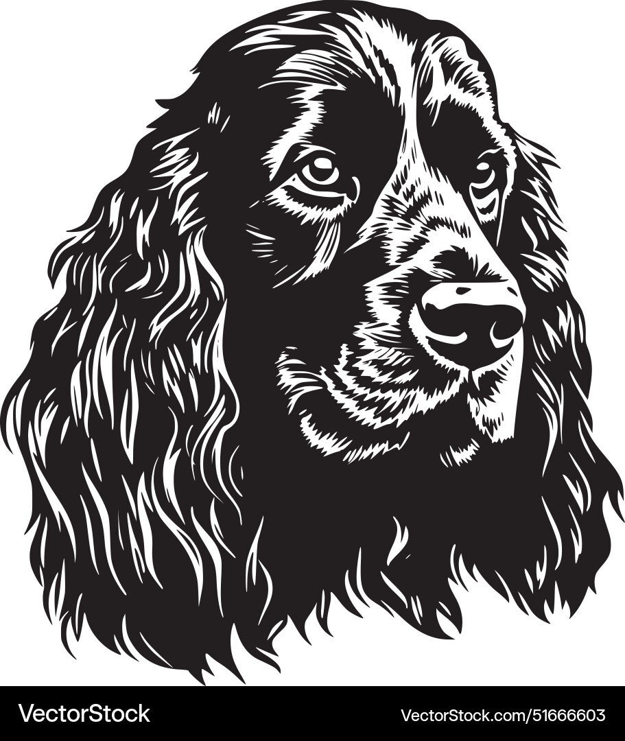 Cocker spaniel - minimalist and simple silhouette Vector Image