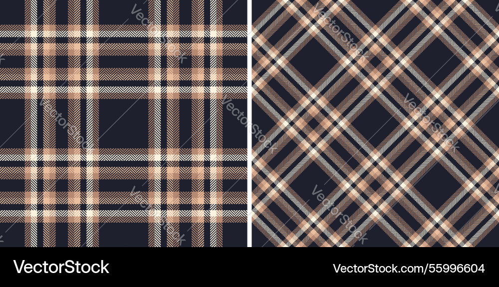 Elegant neutral plaid patterns perfect for Vector Image