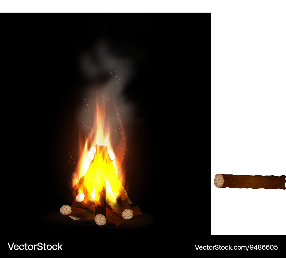 Bonfire Royalty Free Vector Image - VectorStock
