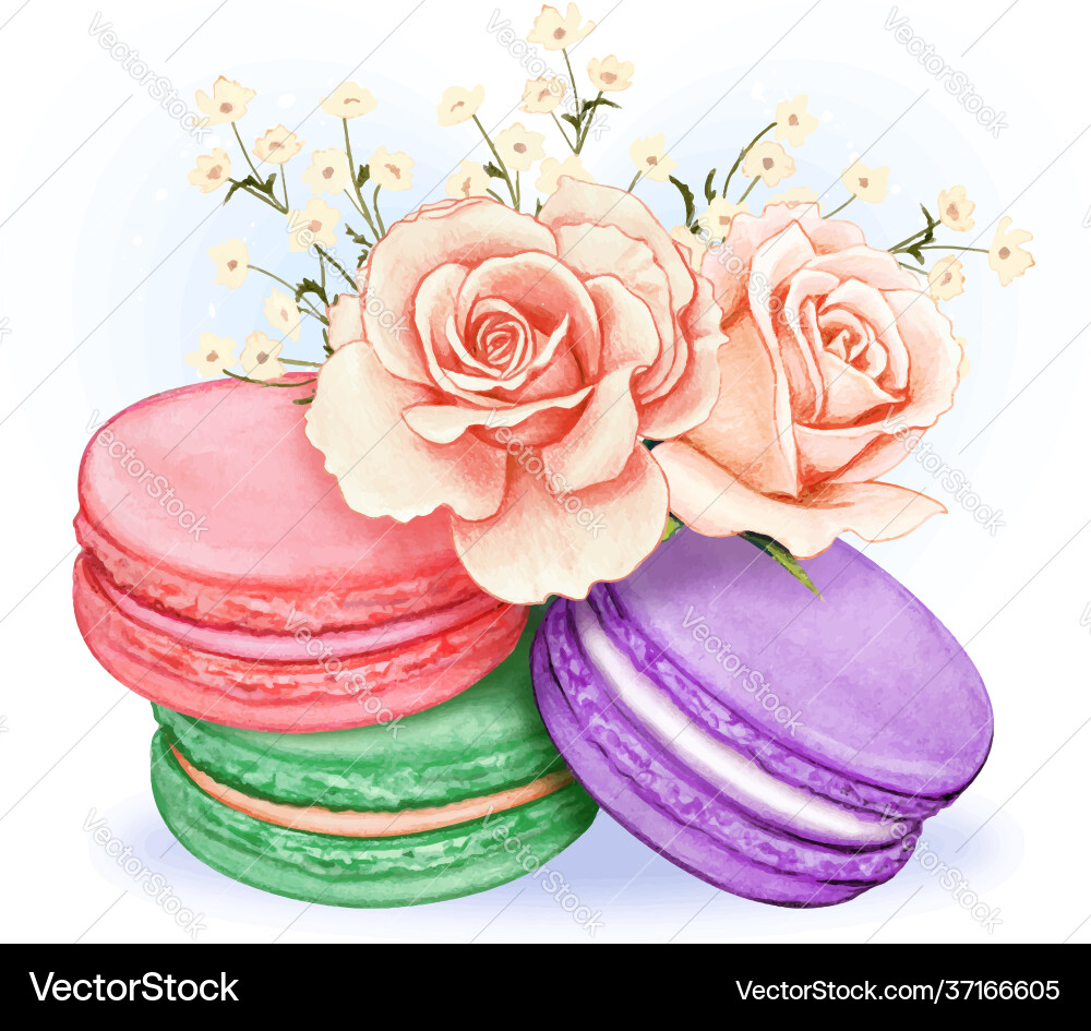 Pastel Macarons with Pink Roses Bouquet Royalty Free Vector