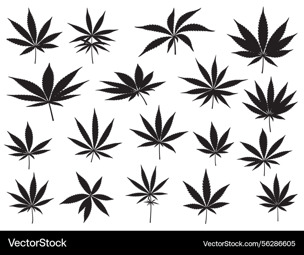 Weed leaf silhouette Royalty Free Vector Image