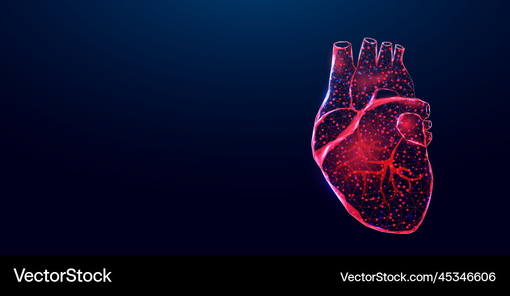 Cardiology concept banner wireframe low poly Vector Image