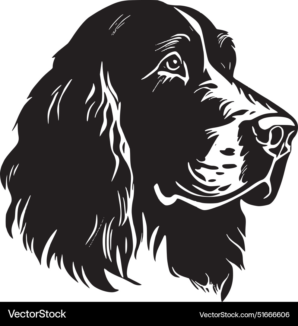 Cocker spaniel - high quality logo ideal Vector Image
