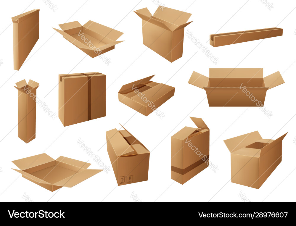 Delivery packages boxes parcels and packs Vector Image