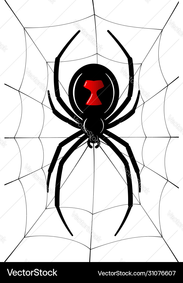 Spider black widow cobweb red 3d Royalty Free Vector Image