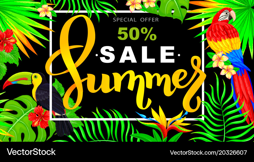 Summer sale horizontal banner with parrot Vector Image