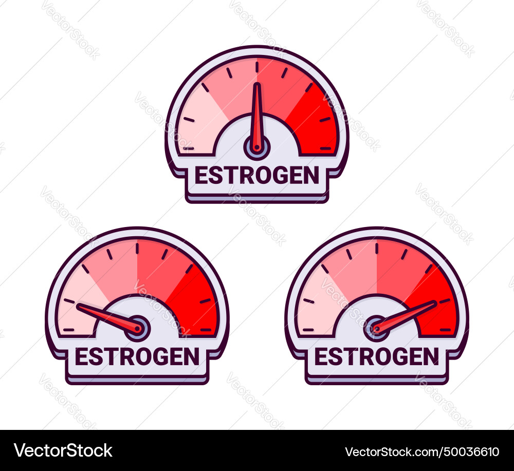 Estrogen hormone level meters Royalty Free Vector Image