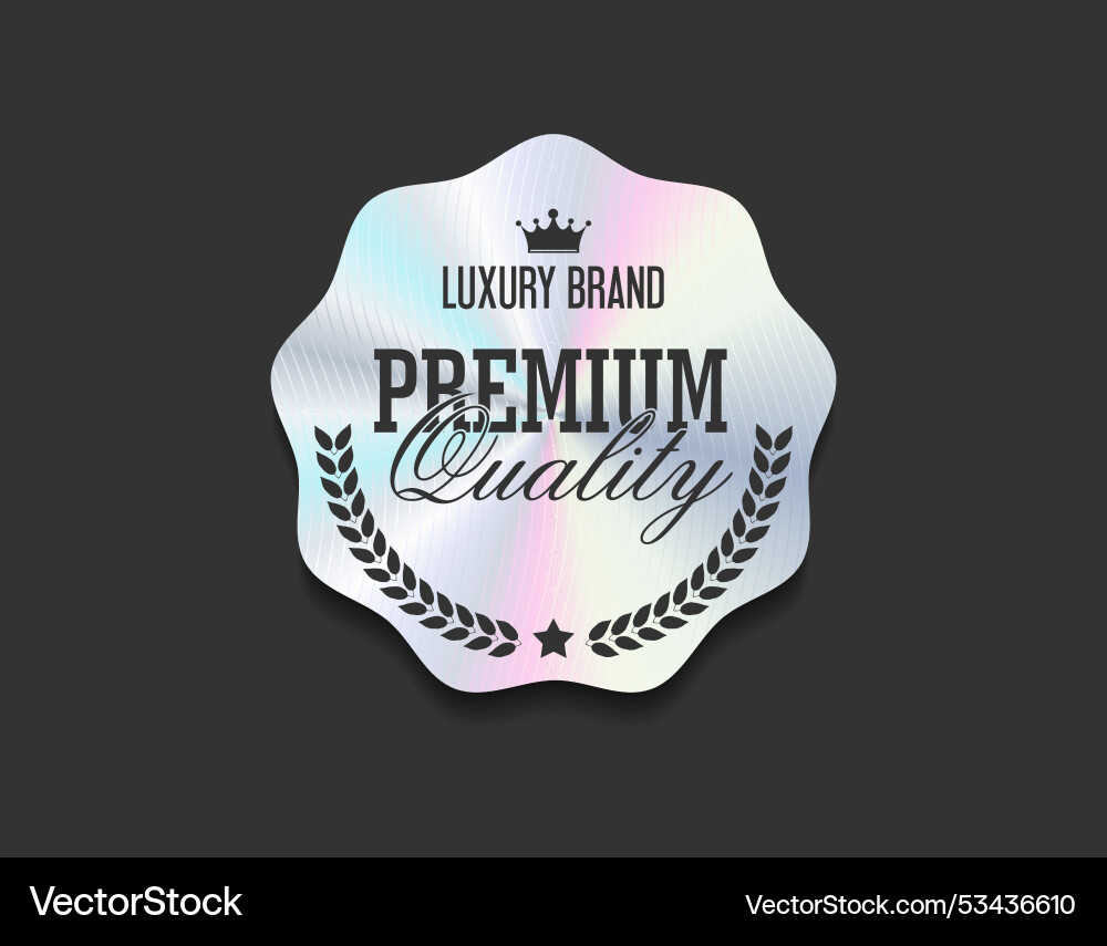 Hologram sticker or label with holographic Vector Image