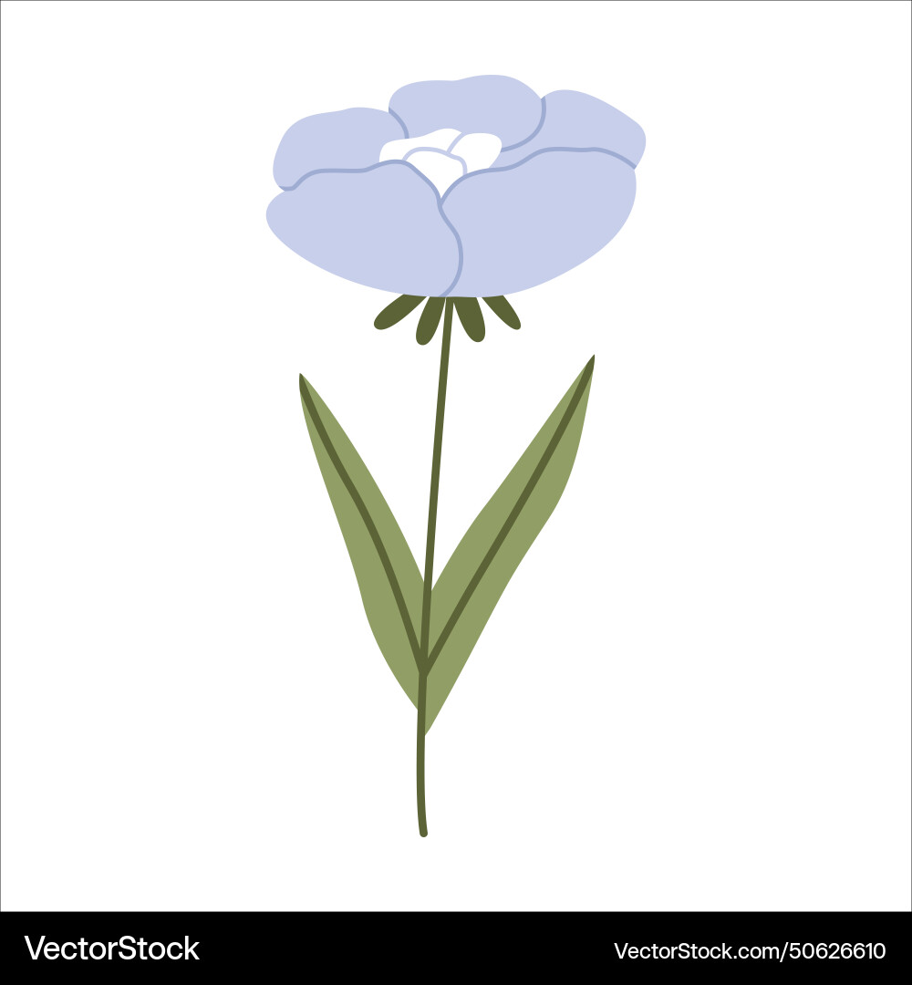 Wild flower Royalty Free Vector Image - VectorStock